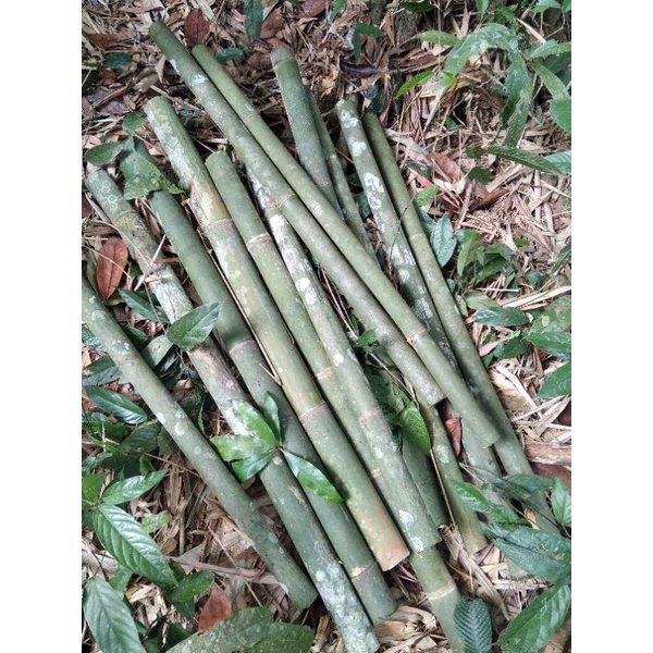 buluh bulat(panjang 110cm sebatang 4ringgit)...buluh ini di basuh ...