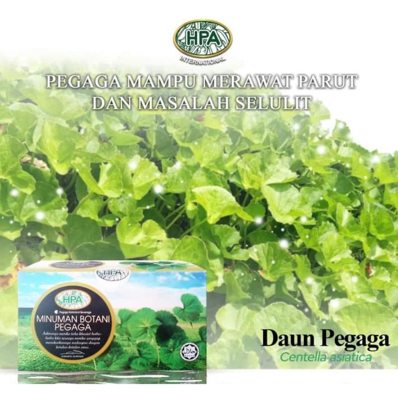 Teh Botani minuman pegaga | Shopee Malaysia