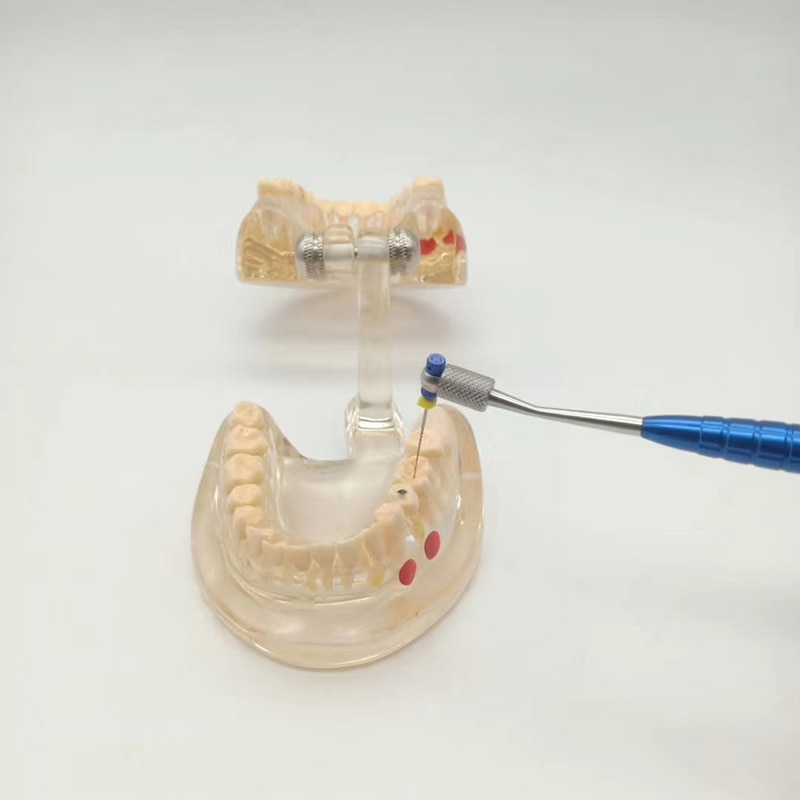 Dental Endo Files Holder Handuse Files Holder Root Canal K R H C Files ... Dental Endo Files Holder Handuse Files Holder Root Canal K R H C Files ...