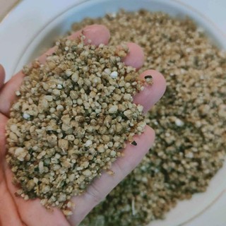 BERAS TIWUL / NASI TIWUL UBI KAYU DARI INDONESIA 🇲🇨 (500g) | Shopee ...