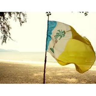 Penang State Flag / Bendera Negeri Pulau Pinang (3ft x 6ft - 90cm x ...