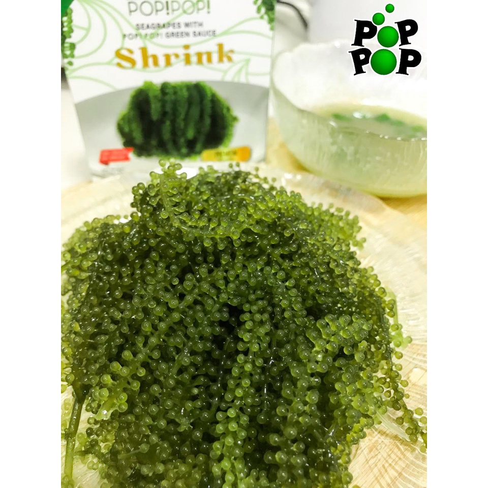 LATOK POP SHRINK SEDAP | Shopee Malaysia