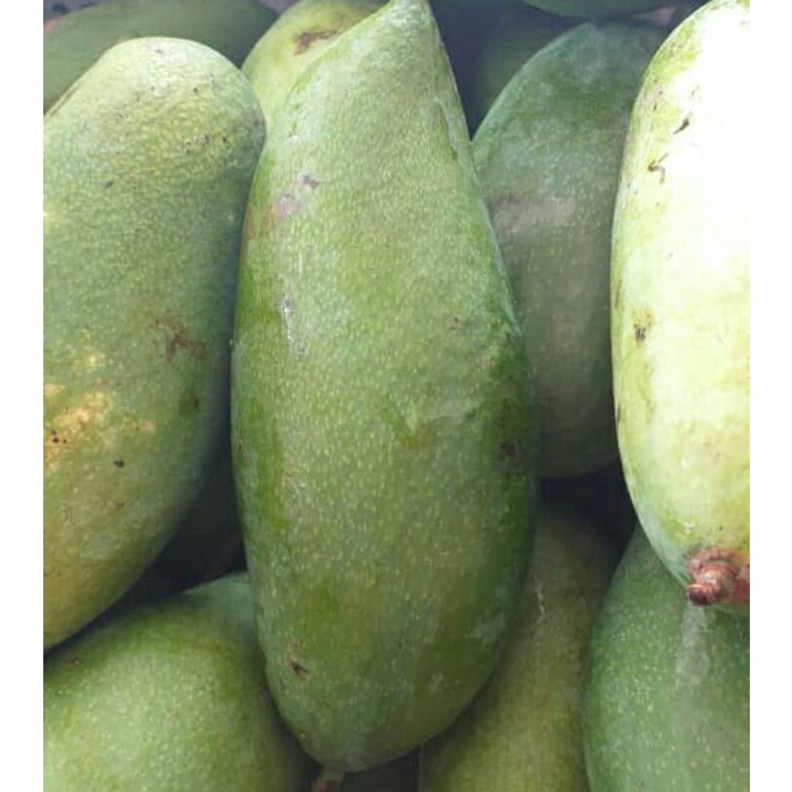PAUH@MANGGA LEMAK RANGGUP/ MANGGA LEMAK MANIS 500g | Shopee Malaysia