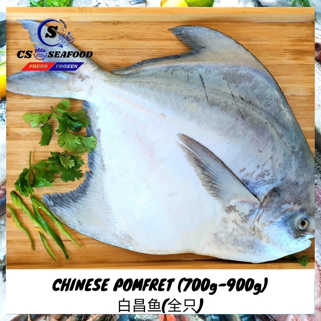 [CS Deepsea] Ikan Bawal Cepak | Local Chinese Pomfret Wholefish (750g ...