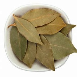 [Daun Kayu Manis] Indian Variety Bay Leaves 500g | Shopee Malaysia