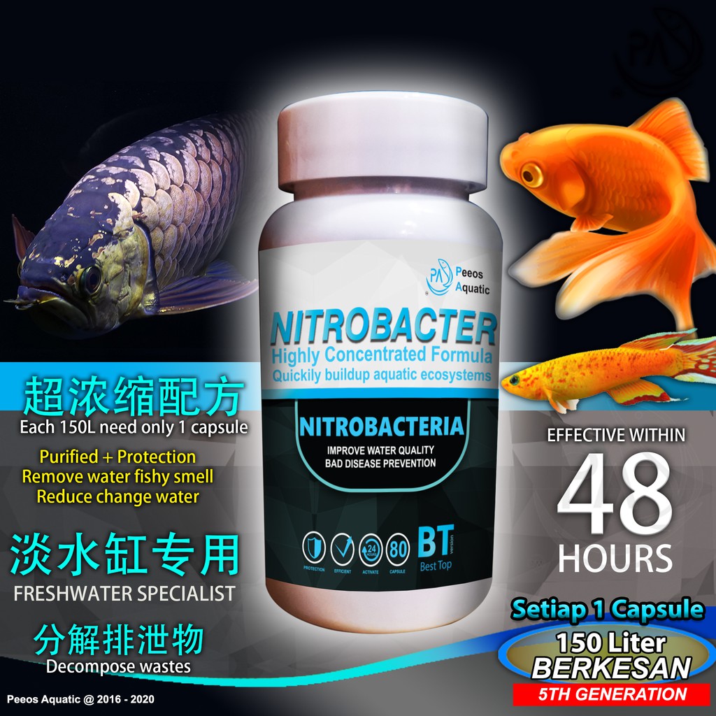 Pa Nitrobacter 5th Gen Concentrated Nitrobacteria aquarium filter media ...