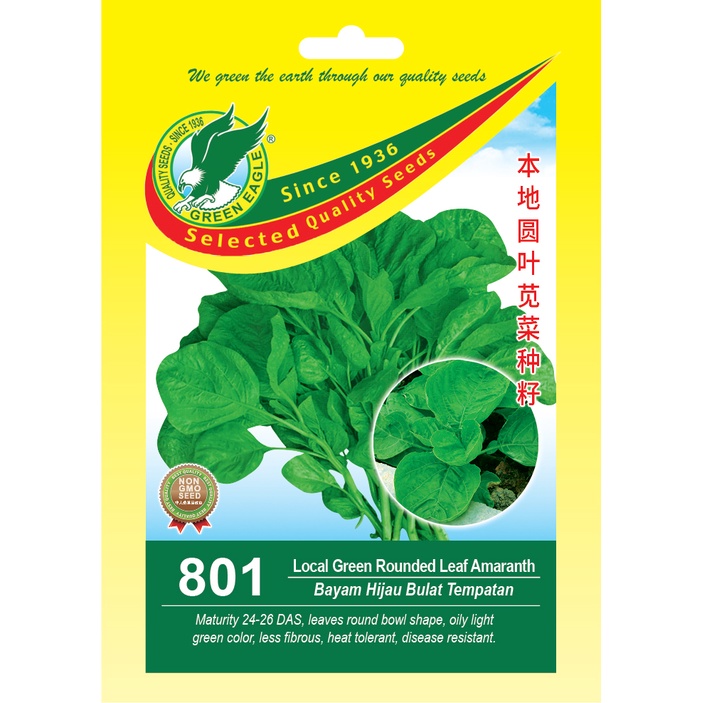 Benih Bayam Bulat - Green Eagle 801 Bayam Daun Hijau Bulat Tempatan ...