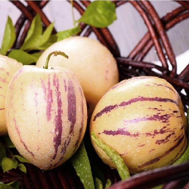 Ginseng Fruit Seeds - 20pcs Seeds for Planting - Pepino Melon Bonsai ...