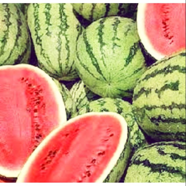 10 pcs Biji benih tembikai merah terpilih ( repack ) / red water melon ...
