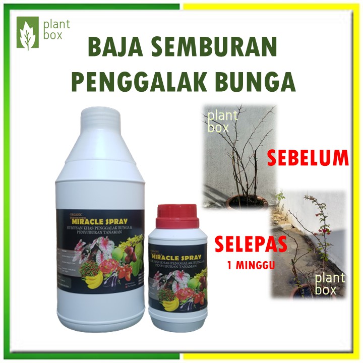 Baja Penggalak Bunga Dan Halang Serangga & Kulat / Miracle Spray / Baja Pokok Orkid Air Plant ...