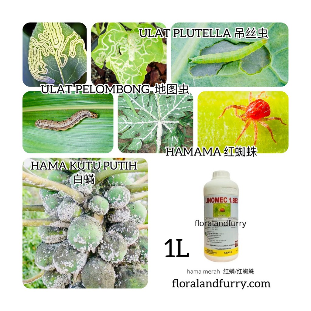 1L Linomec Abamectin 1.8% A-bac 5% Red Mites 红蜘蛛 Racun Serangga Hama ...