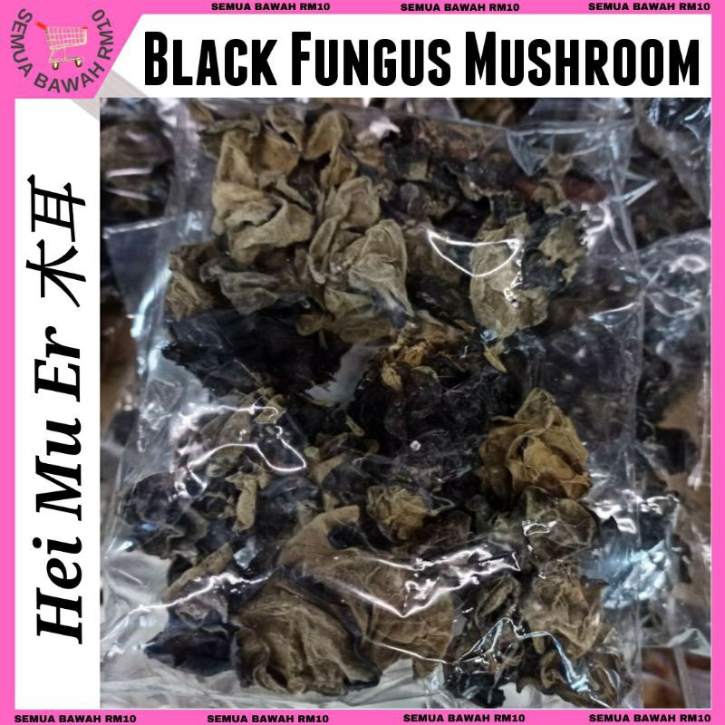[Ready Stock] Black Fungus Mushroom Cendawan Telinga Kera Agaric Wood ...