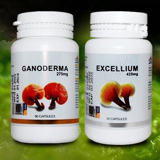 [NEW PACK] GANODERMA EXCELLIUM (30/90caps) /Tonik otak & minda ...