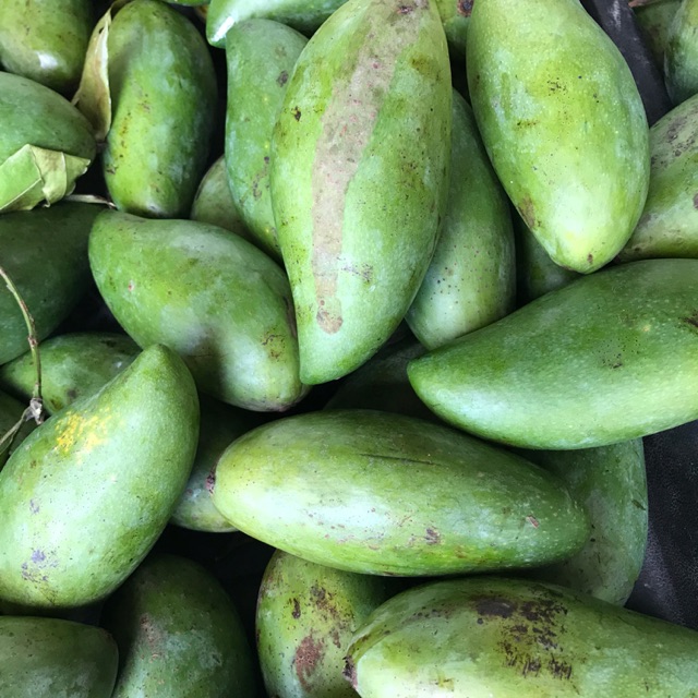 BUAH PAUH LEMAK / MANGGA LEMAK MANIS | Shopee Malaysia