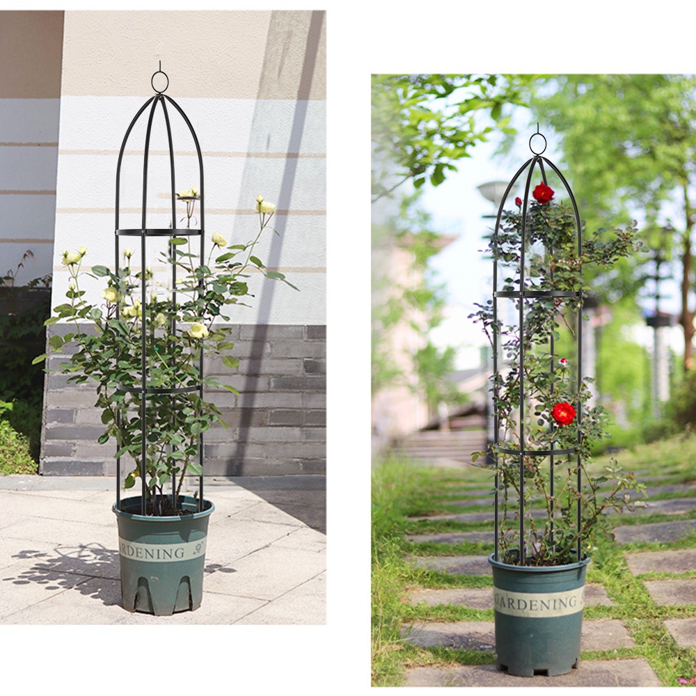 Outdoor Wrought Iron Set Rose Climbing Frame Rattan Height 150cm--188cm ...