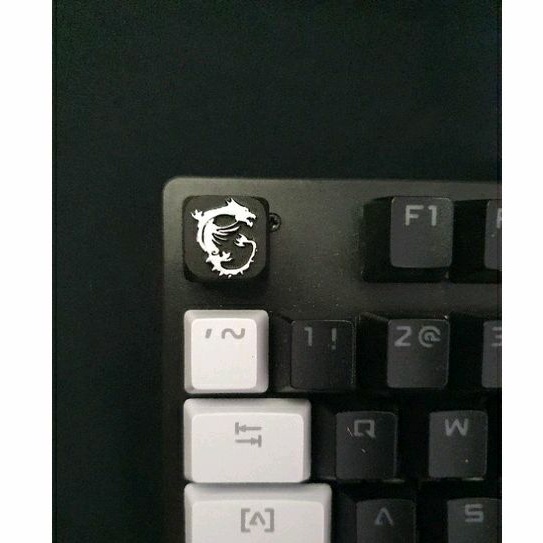 Artisan Custom Keycaps Keyboard MSI Dragon Gaming Logo Mechanical ...