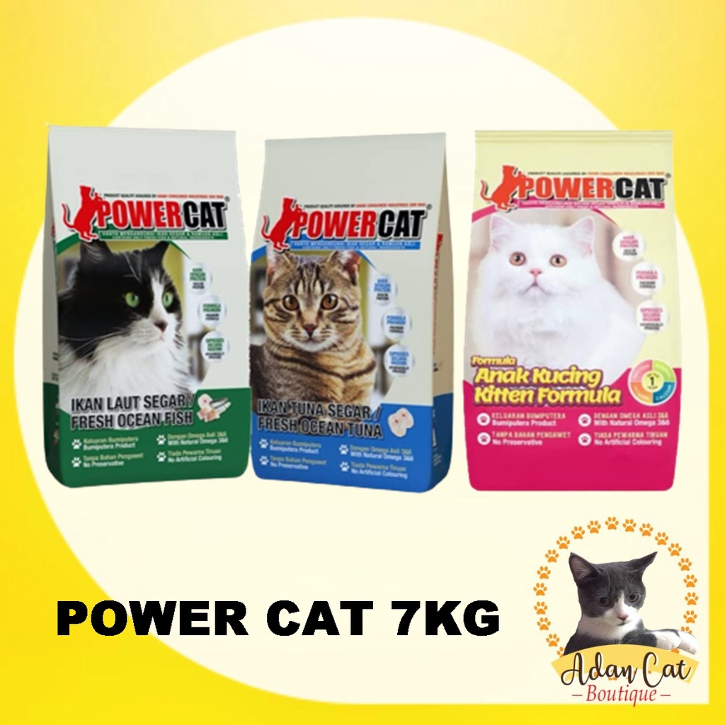 POWERCAT Fresh Ocean Fish Fresh Ocean Tuna Ikan Laut Segar Ikan Tuna ...