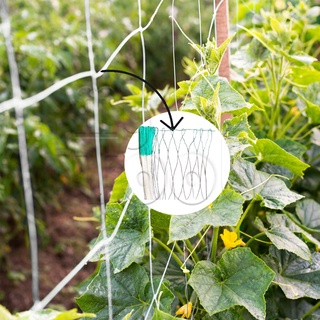 Mytools 2M x 60M Cucumber Net Netting Jaring Timun Plant Support Net Plant Climbing Trellis Grow ...