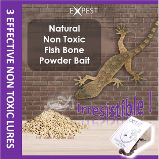 9 Pcs Lizard (Cicak/Gecko) Sticky Smart Trap / Lizard Killer DIY ...