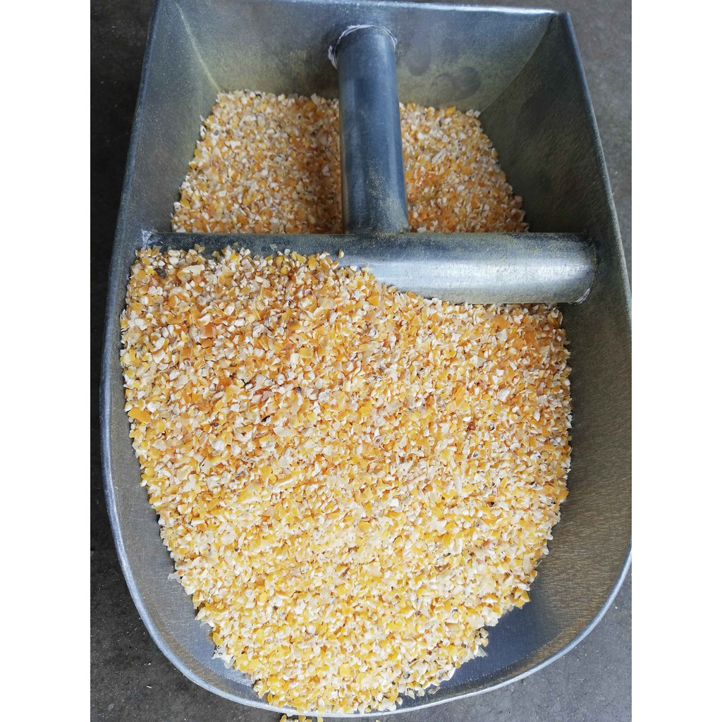 [40 KG] Makanan Ayam Jagung Halus Gred C / Dedak Jagung Ayam Halus ...