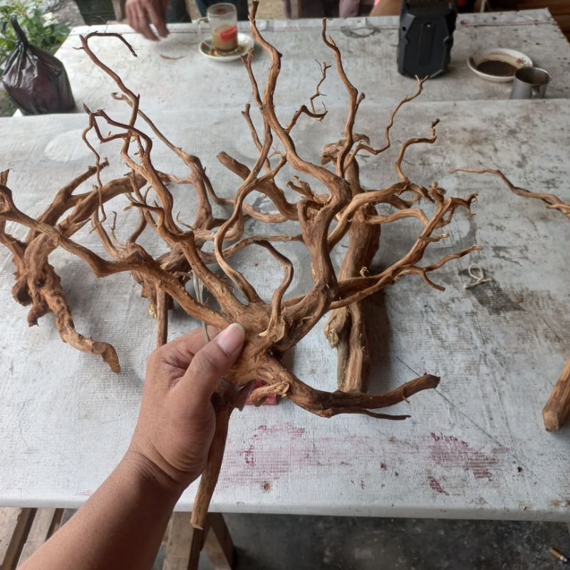 KAYU Rasamala aquascape Wood | Shopee Malaysia