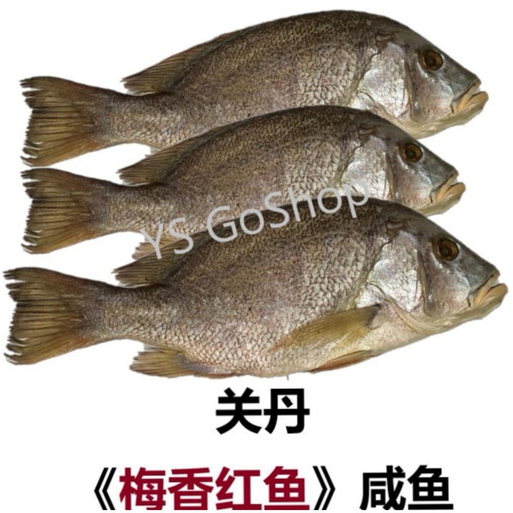 [1kg++] Ikan Merah Masin Kuantan Mui Hiong (Salted Fish) 关丹梅香咸鱼 ...