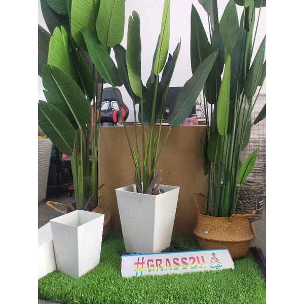 Pasu putih viral, vage dan pots garden indoor plant. | Shopee Malaysia