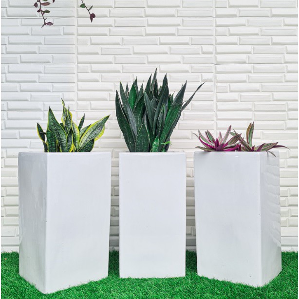 Pasu Seramik Putih Petak XXL Besar Big Square White Ceramic Pot Pasu ...