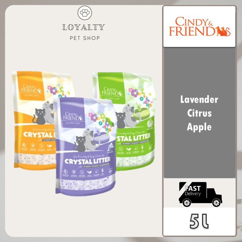 Cindy & Friend Crystal Litter 5L | Shopee Malaysia