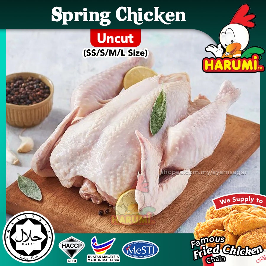 HARUMi Spring Chicken (Uncut) Whole Chicken Meat Daging Frozen Fresh ...