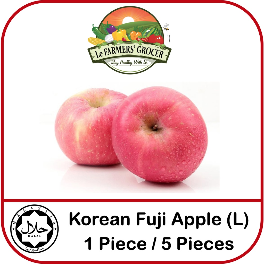 Fresh Fruits- Premium Korean Fuji Apple(L) 1piece / 5pieces | Shopee ...
