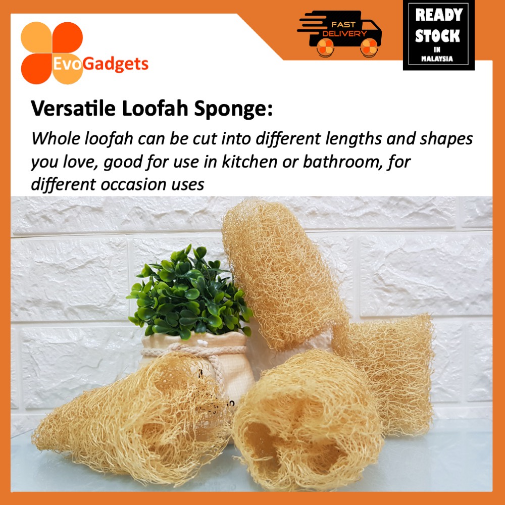 Natural Luffa / Loofah - Skin care / Cleaning exfoliating / Bowl ...