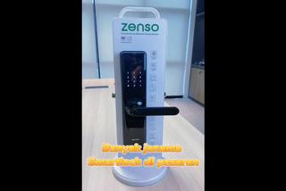 ZENSO Smart Door Lock Smart Digital Lock Password Fingerprint Key Card ...