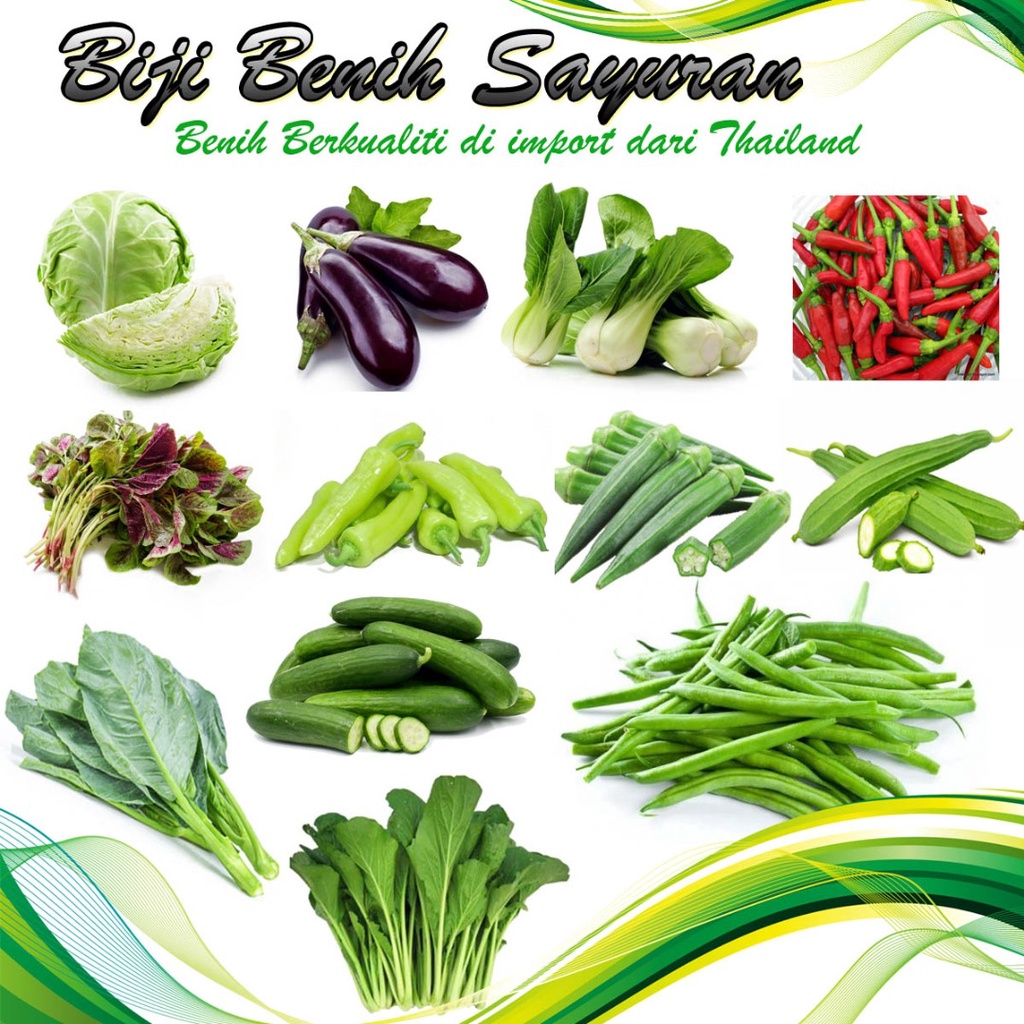 BIJI BENIH SAYUR-SAYURAN | Shopee Malaysia