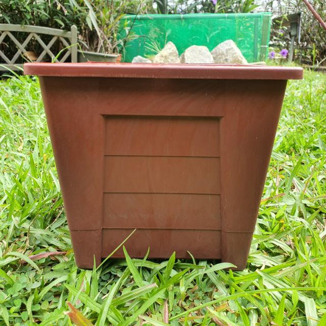 Ready Stock Flower Pot Pasu Bunga Mini 16cm x 16cm | Shopee Malaysia