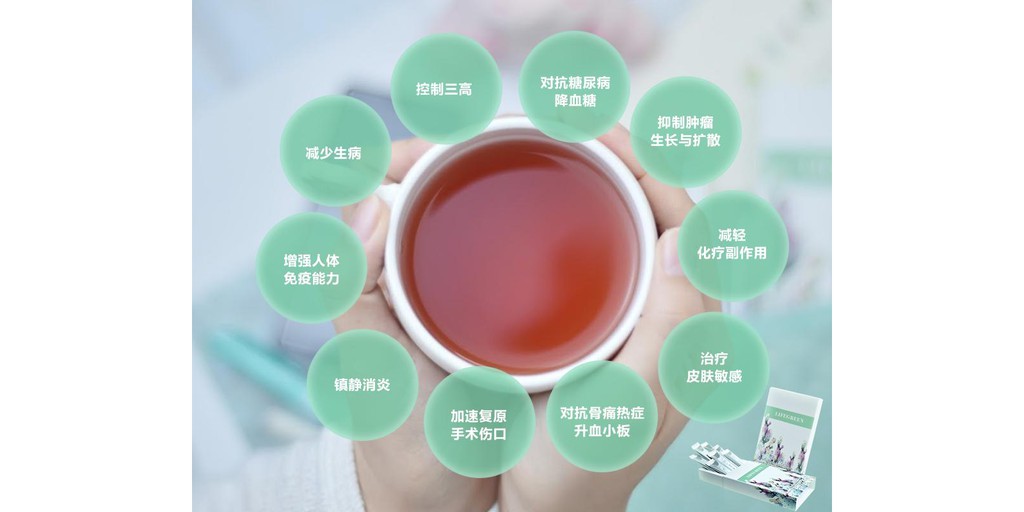 LifeGreen™ Cactus Official Store, Online Shop | Shopee Malaysia