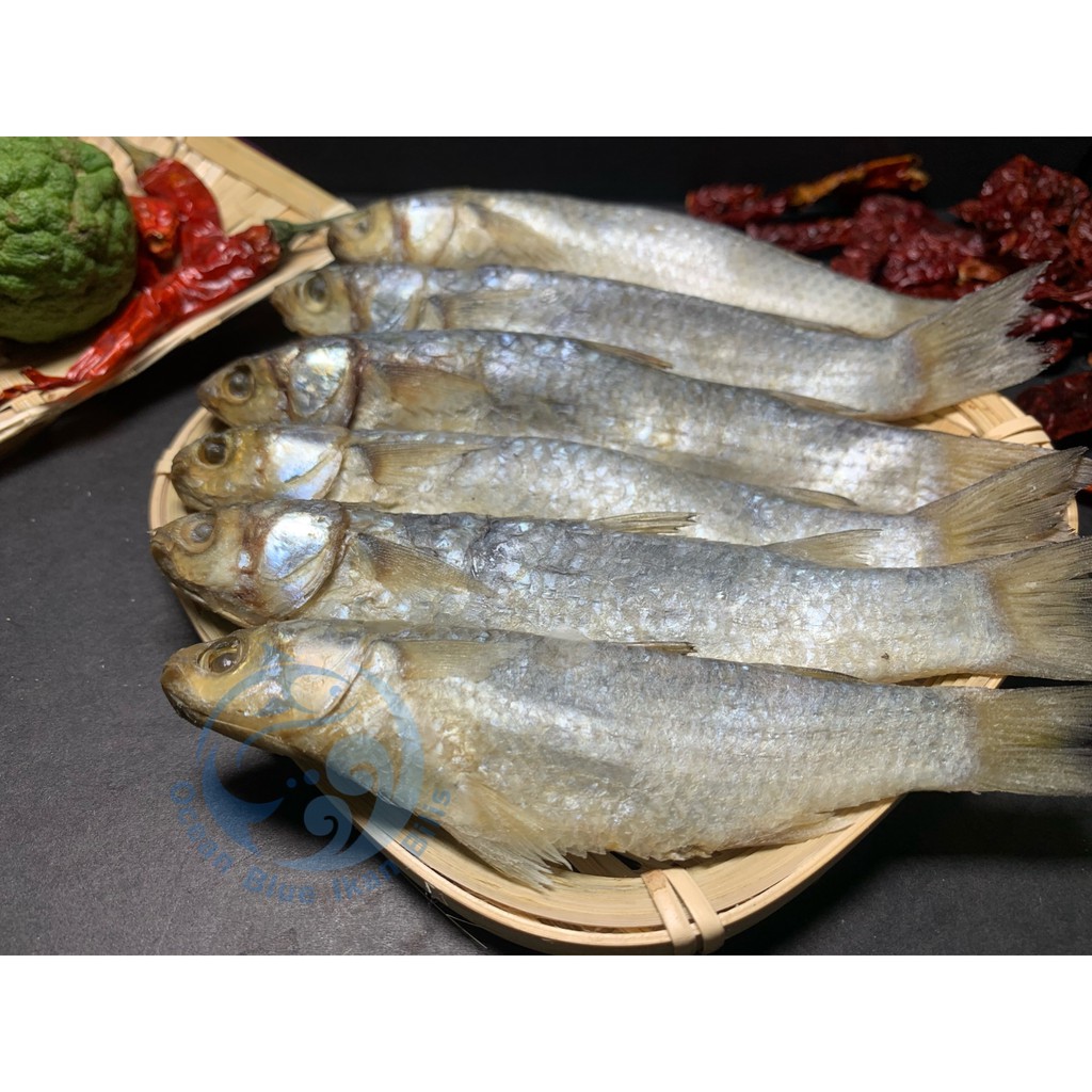 (READY STOCK) IKAN KEDERA TG.DAWAI - OCEAN BLUE (500G) | Shopee Malaysia