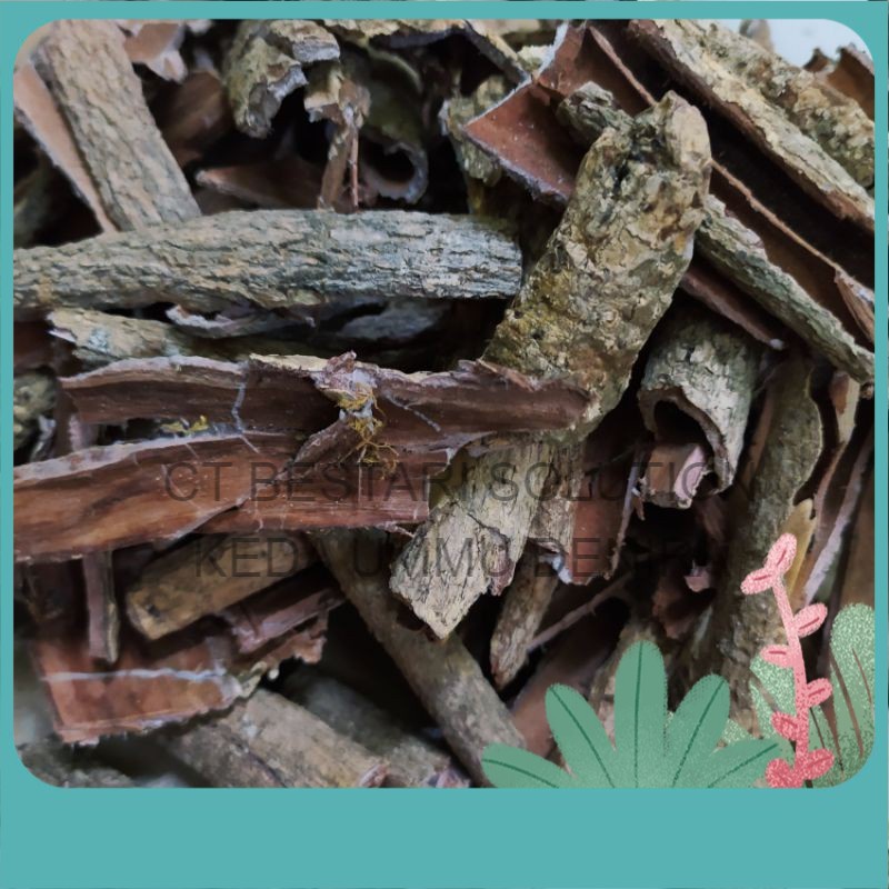 Kulit Kayu Serapat 100% Asli 50gm/ 100gm/ 500gm | Shopee Malaysia