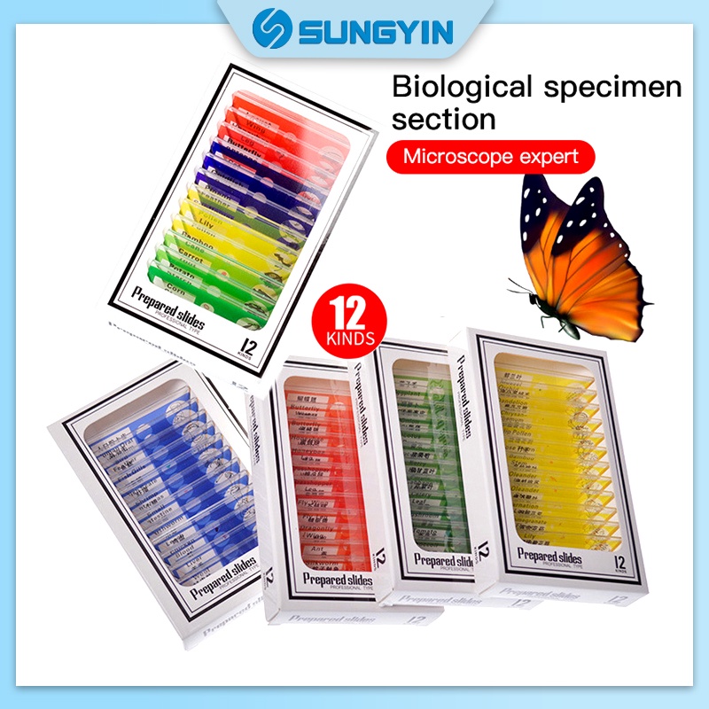 Biological Specimen Slices vegetable, plant, insect, and animal ...