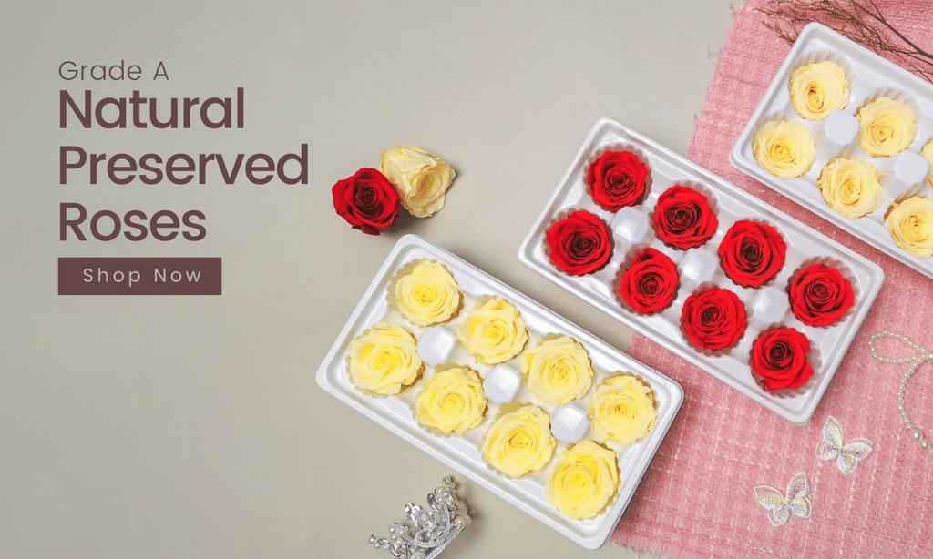 Shiok Collection S/B, Online Shop | Shopee Malaysia