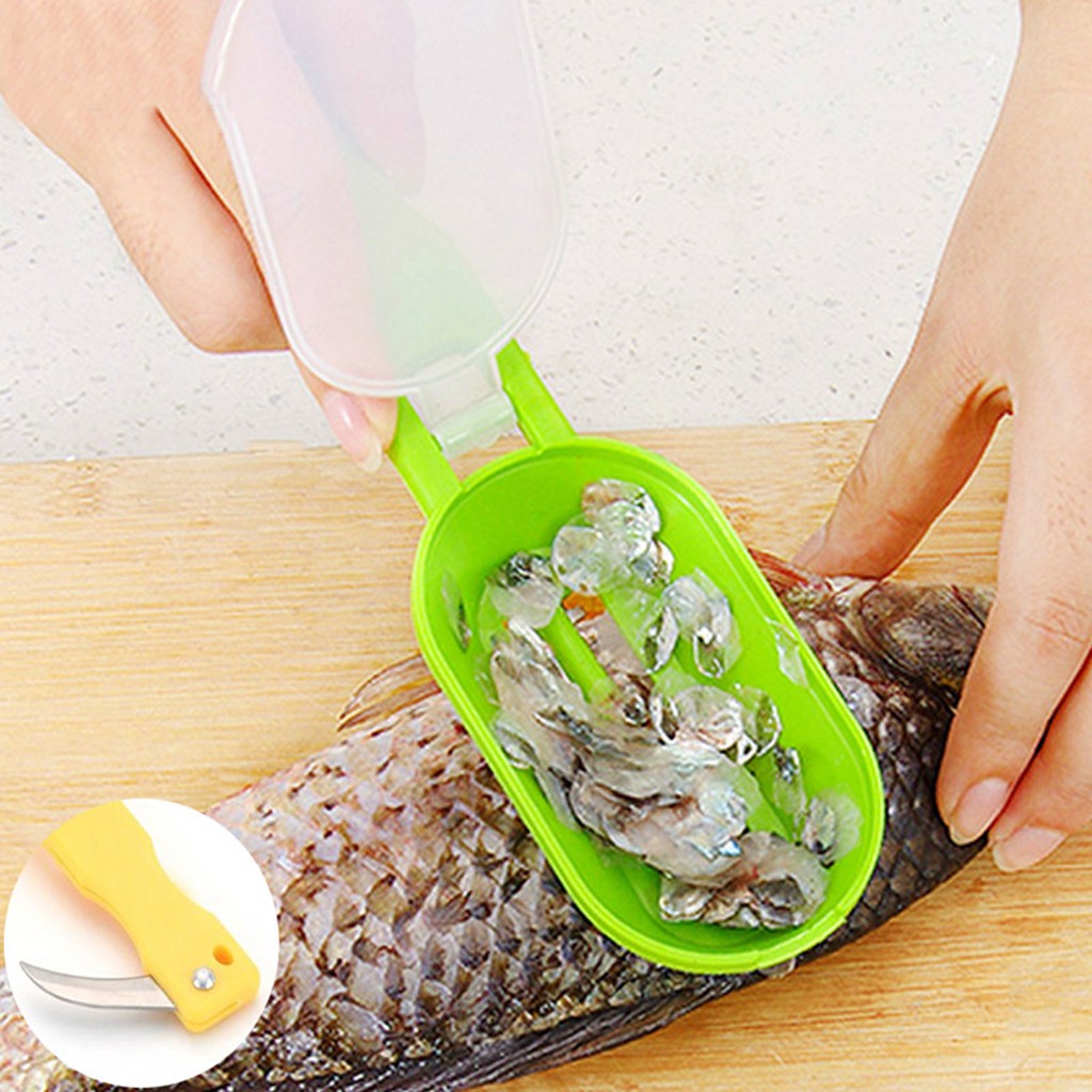 Kitchen Fish Clean Scales Fishes Scraping Scale Fish Skin Remover ...