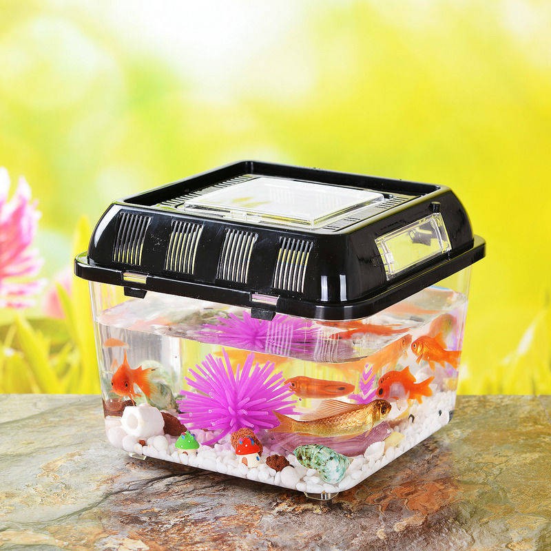 Tangki Fish Medium Plastik Portable Tangki Ikan Emas Turtle Closed ...