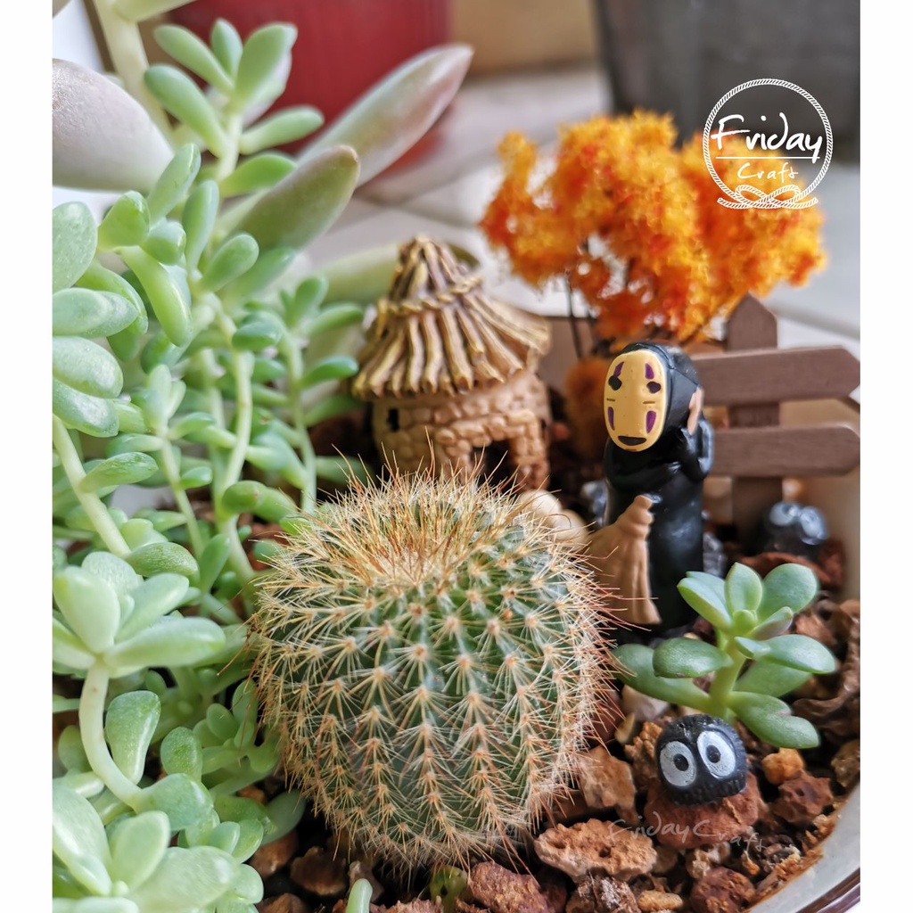 SpiritedAway Miniature. Mini Succulent Terrarium Gardening Decoration ...