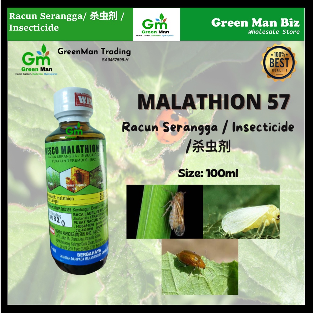 100ml Malathion 57-Insecticide/ Racun Serangan- Kutu Putih Kutu Pokok ...