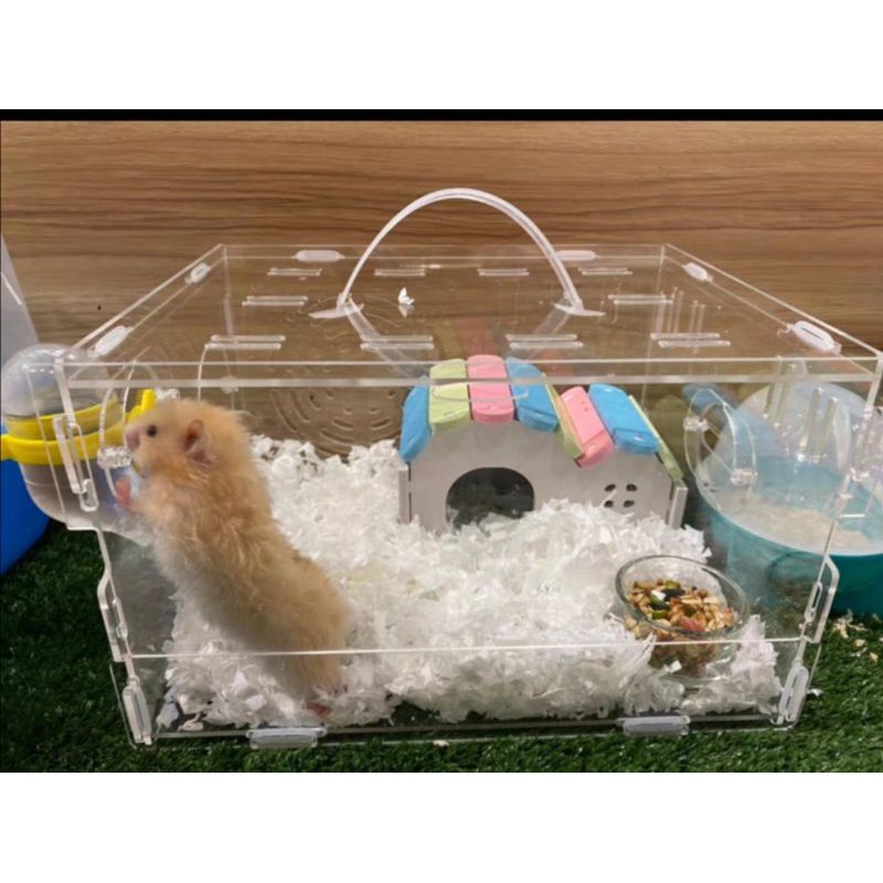 Dwarf Hamsters Cages