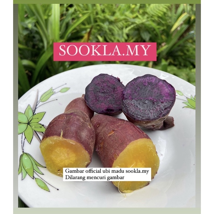 Ubi Keledek Madu Purple Cameron Highlands | Shopee Malaysia