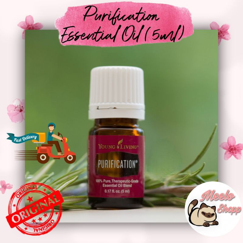 Young Living Purification Essential Oil (5ml) (READY STOCK) | Shopee ...