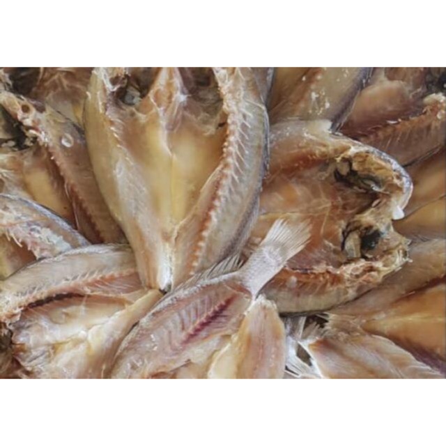 IKAN BEKOK | IKE BEKOK | IKAN GELAMA BELAH MAMBA | IKAN GELAMA BEKOK ...