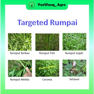 Behn Meyer Glyphosate136 General Weed Control Ubat Pengawal Rumput ...