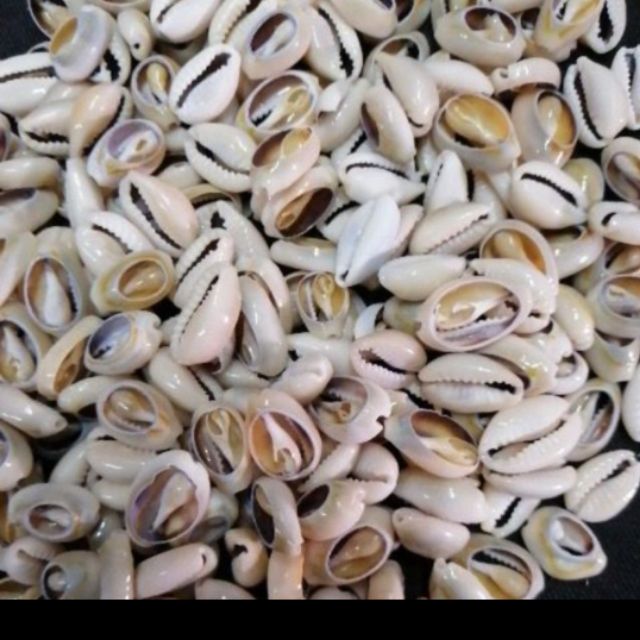 Burie Kuyung (warna original - kelabu) | Shopee Malaysia